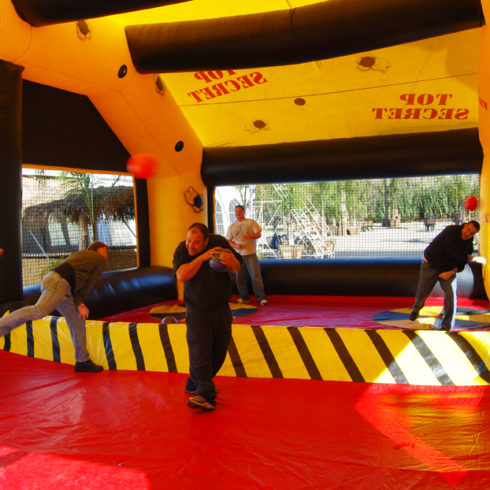 Dodgeball Arena - Party Pals