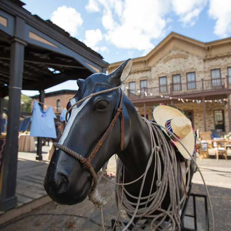 Rodeo Ropers - Party Pals